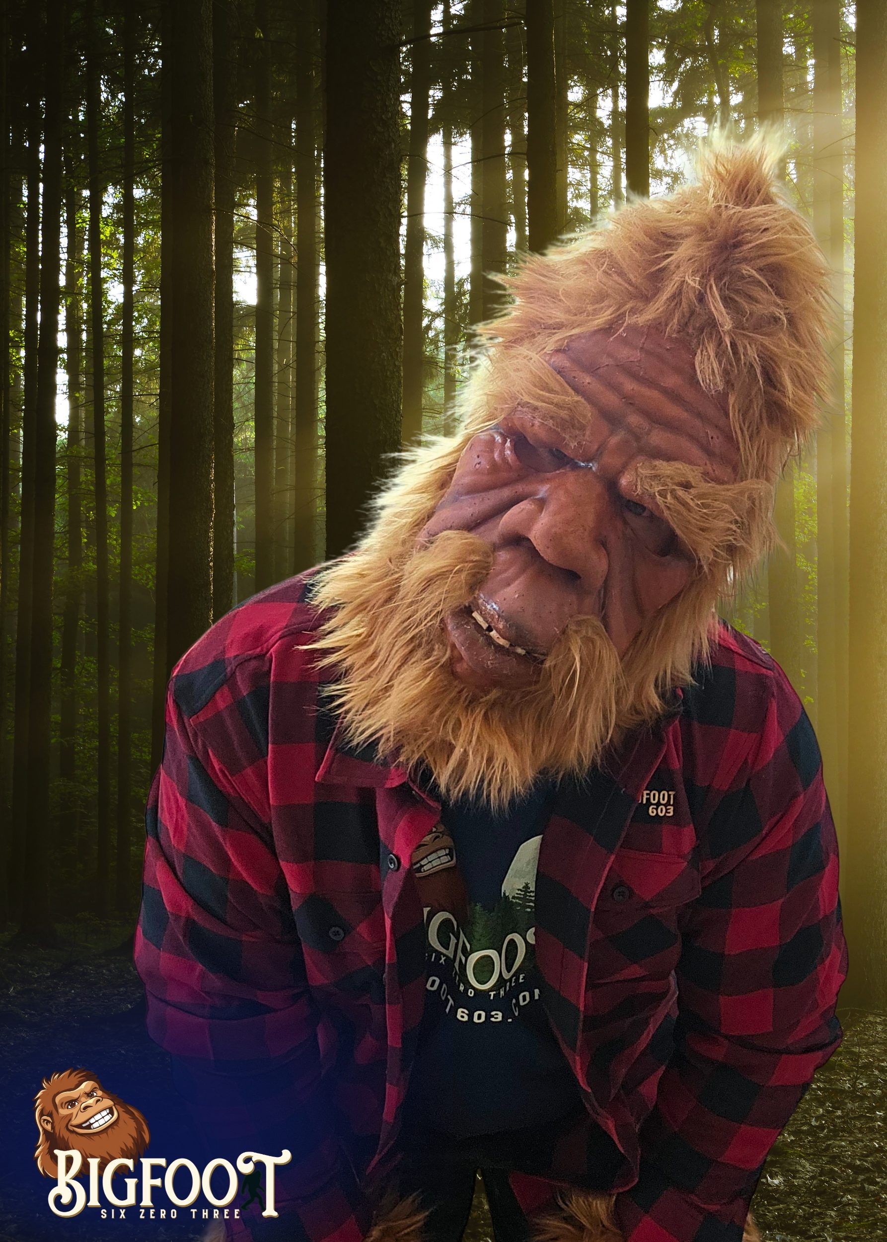 New Photos in the Bigfoot Gallery - NH Bigfoot Appearances